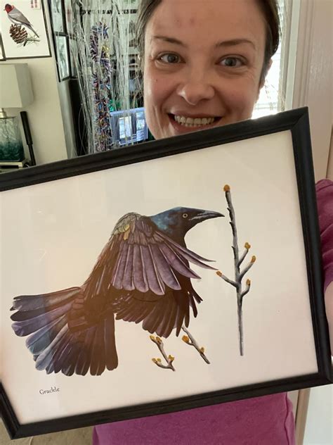 Common Grackle Commissioned Bird Art By Kb