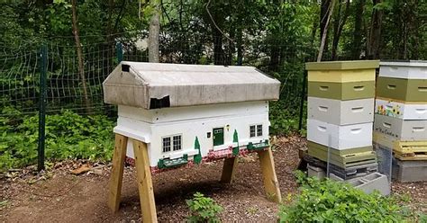 Horizontal Hive Album On Imgur