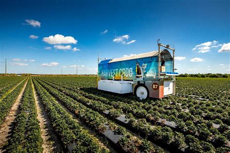 Robotic Strawberry Picker Plucks More Berries Than 6 Human Workers