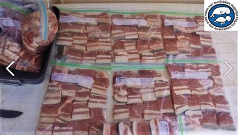 Hinchs Senate Diary People Exploit Native Title To Sell Dugong Meat