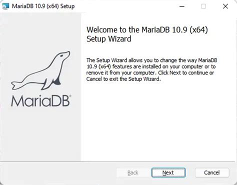 How To Use And Connect MariaDB GUI And Command Line Clients