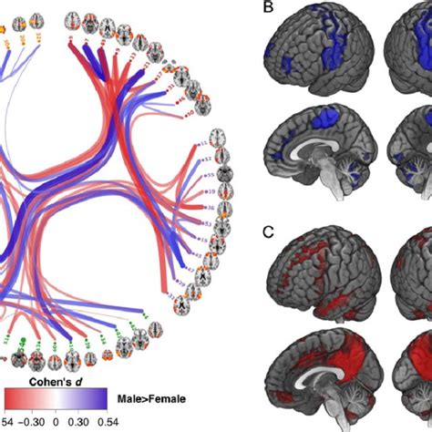 Results For Resting State Fmri Connectivity And Weighted Degree Of