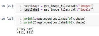 How To Use Unet Learner With Only Channel Fastai Fast Ai Course Forums