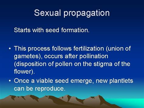 PLANT PROPAGATION This Is The Reproduction Or Duplication
