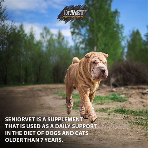 Seniorvet добавки за възрастни кучета и котки Poodle Bg