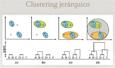 ElectrobÓveda Data Science Clustering Jerárquico Y Métodos De Enlace