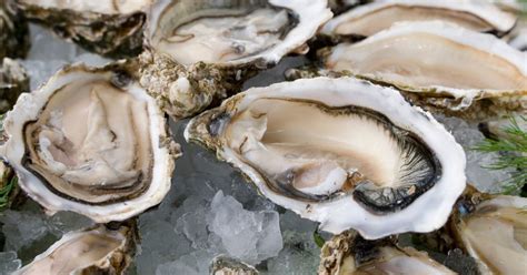 How To Cook Frozen Shucked Oysters At Anton Thomas Blog