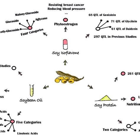 The Background Of Major Quality Traits In Soybean Download