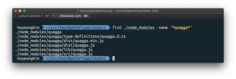 Flask에서 Npm 라이브러리 사용 Hoyoungs Blog