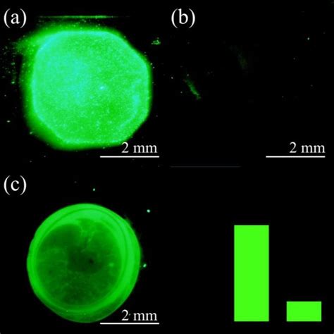 1 Schematic Illustrations Of Nanoscale Drug Delivery System Platforms