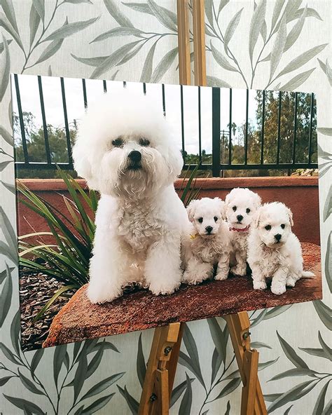 Картины с животными из фотографий на заказ