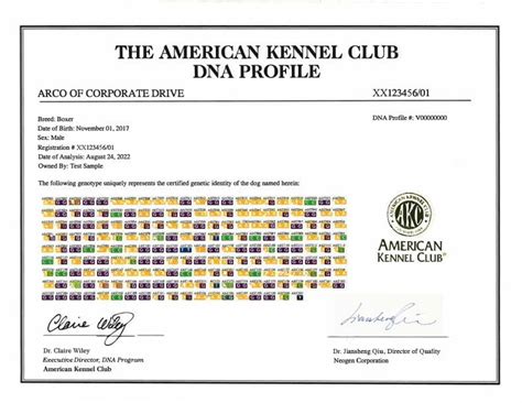 Akc Dna Profile Certificate Akc Shop