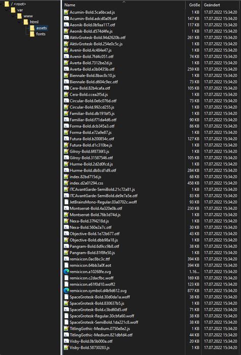 build 404 when importing fonts from public with import meta glob