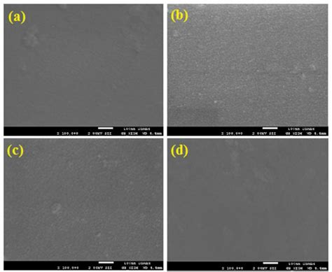 Sem Micrographs That Were Taken For The Surface Of The Epoxy Coatings