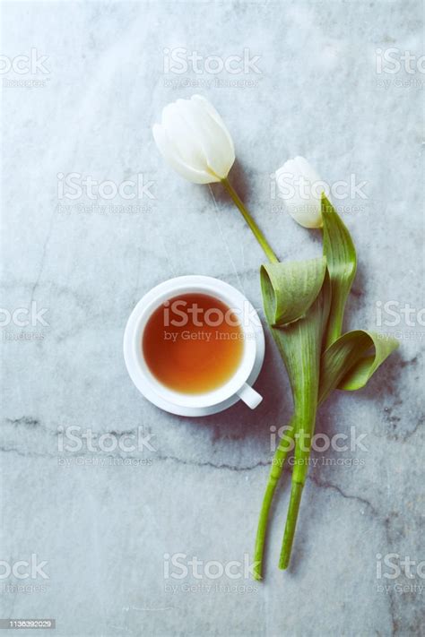 회색 돌 배경에 차와 흰 봄 튤립 한 잔 평평한 누워 복사 공간 0명에 대한 스톡 사진 및 기타 이미지 0명 꽃 식물 꽃꽂이 Istock