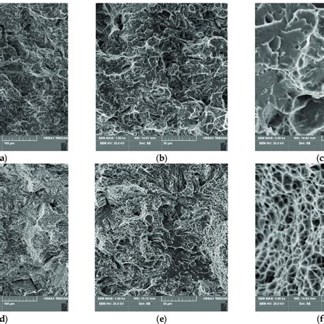 View Of The Specimens After Tensile Testing Download Scientific Diagram