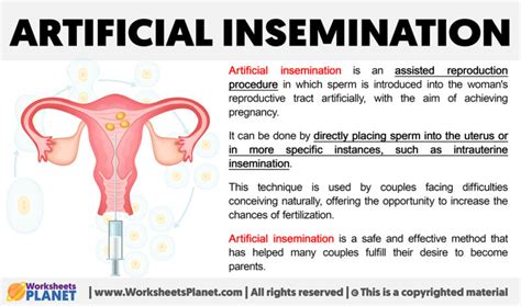What Is Artificial Insemination
