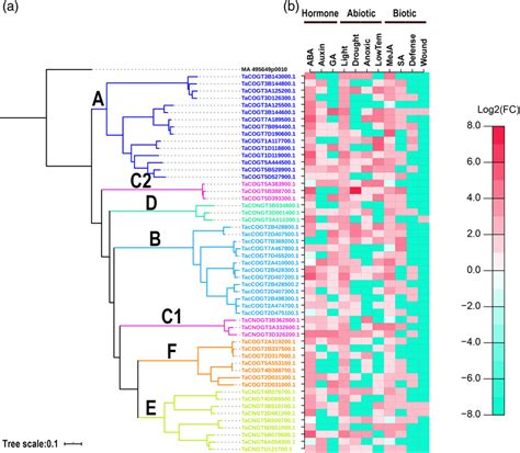 Heat Map Showing Over‐ And Under‐represented Cis‐regulatory Elements