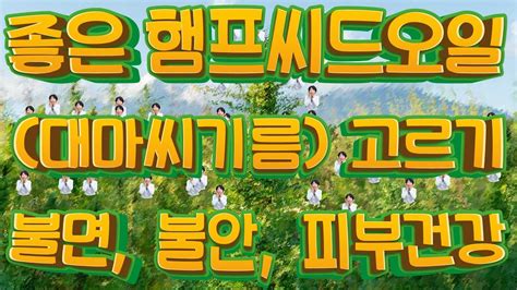 좋은 햄프씨드오일대마씨기름 고르기 불면 불안 피부건강 Youtube