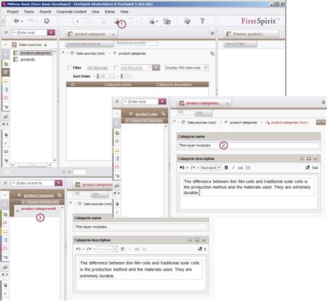 Firstspirit Online Documentation Editing Datasets