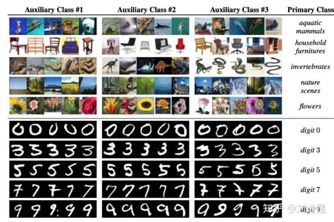 multi task learning museum