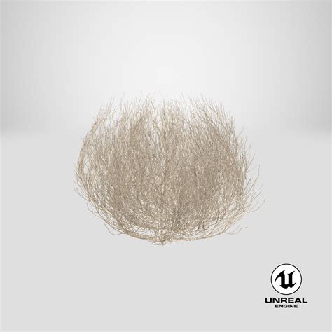 Desert Tumbleweed Tumbled 3d Turbosquid 1398401