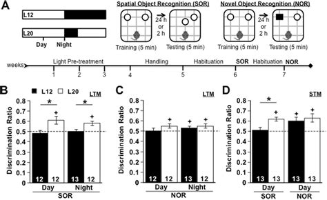 Long Days Enhance Recognition Memory A Spatial Object Recognition Download Scientific