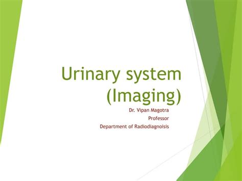 Intravenous Urography Ivu Pdf Digestive Disorders Diseases And Conditions