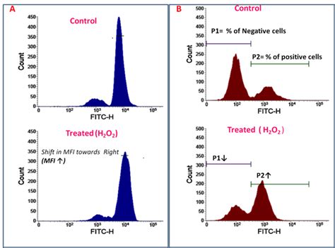 1055 Questions With Answers In Facs Scientific Method