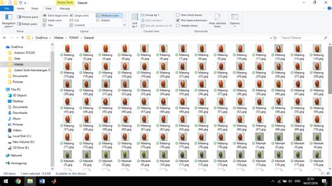 Implementasi Green Technology Pada Sortasi Kematangan Buah Tomat Ft Informatika S1
