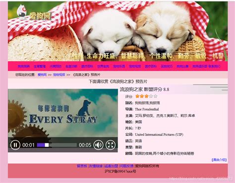 Web实验2 制作简单网页（html Css） Web实验二网页设计 你的负卿是我的博客 Csdn博客