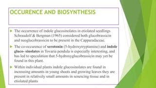 Glucosinolates In Vegetable Crops Pptx