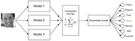 An Efficient Approach To Face Emotion Recognition With Convolutional Neural Networks