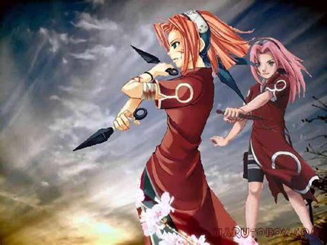 Sakura Wallpaper Anime Hentai Animeanimex