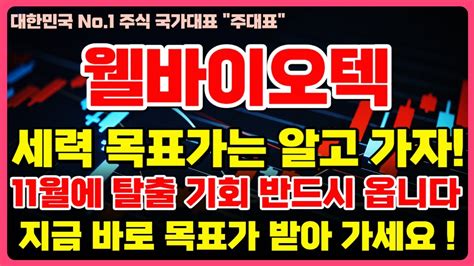 웰바이오텍 대응전략 세력 목표가는 알고 가자 11월 탈출 기회는 반드시 옵니다 목표가 받아가세요 Youtube
