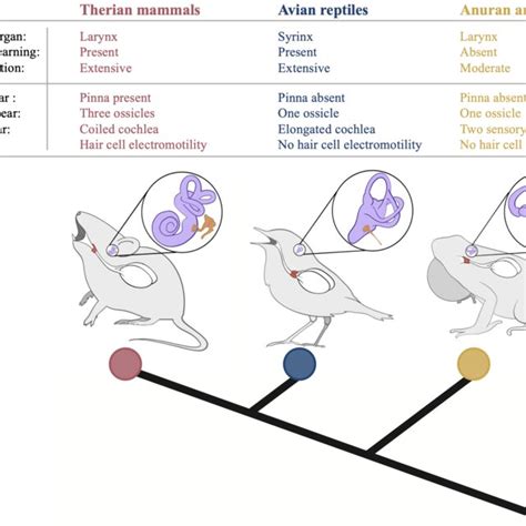 Spectral Density Profiles Of The Normalized Modified Graph Laplacian Of