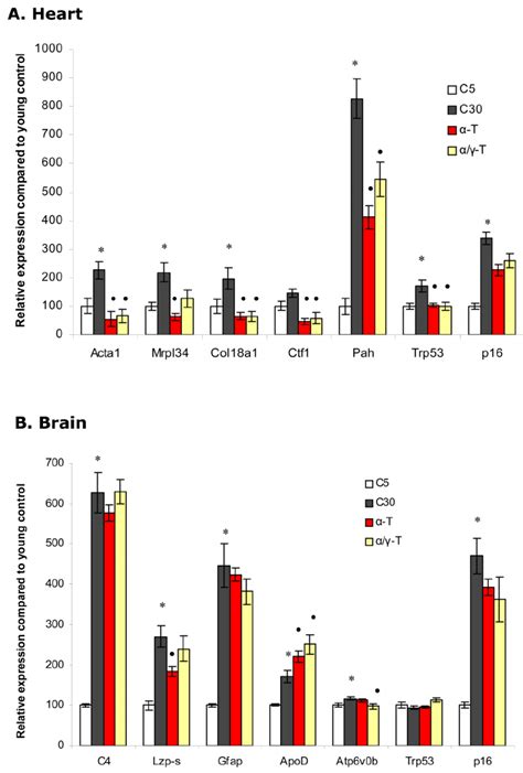 Real Time Quantitative Rt Pcr Analysis Of A Subset Of Genes In The