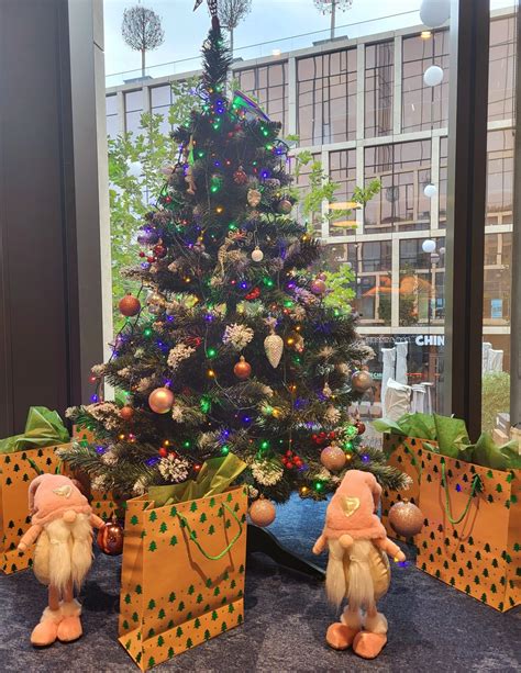 sabina cananau on linkedin christmas vibes at our office in iasi 🎄 ️ ️