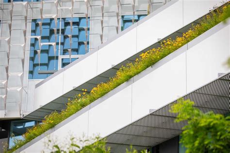 Quantum Science And Engineering Harvard John A Paulson School Of Engineering And Applied