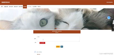【附源码】计算机毕业设计猫咖管理系统（javaspringbootmysqlmybatis论文 Csdn博客