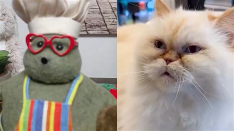 Tiny Chef Creators Reveal Why Nickelodeon Canceled Beloved Show Despite