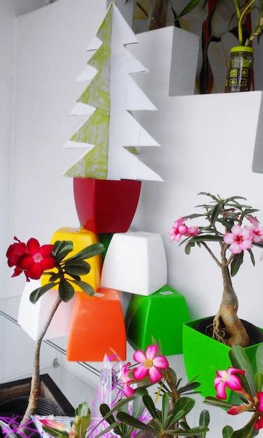 Premium Photo Multi Colored Flowers