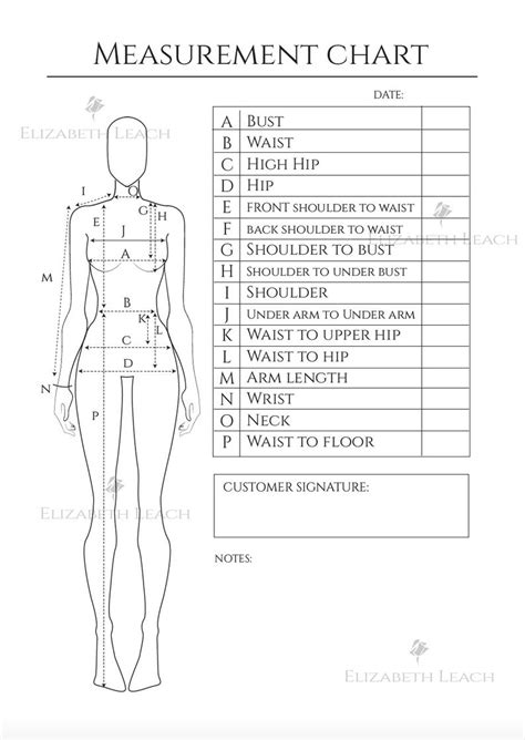 Body Measurement Chart For Dressmakers Female Body Fillable Women Measurement Template PDF