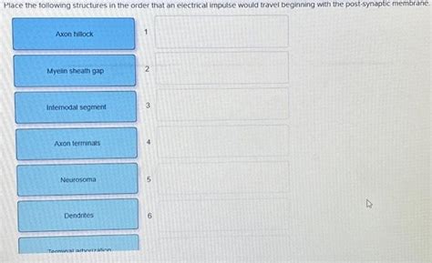 Solved Place The Following Structures In The Order That An