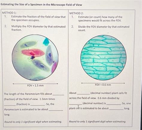 Solved Estimating The Size Of A Specimen In The Microscope