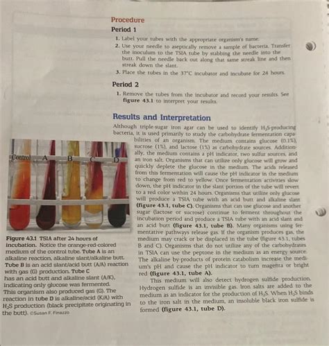 Solved Please Use The Exercise 43 Information And Lab Result