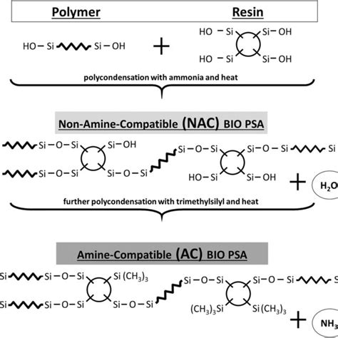 Chemical Structures Of The Non Amine Compatible Nac And Download Scientific Diagram