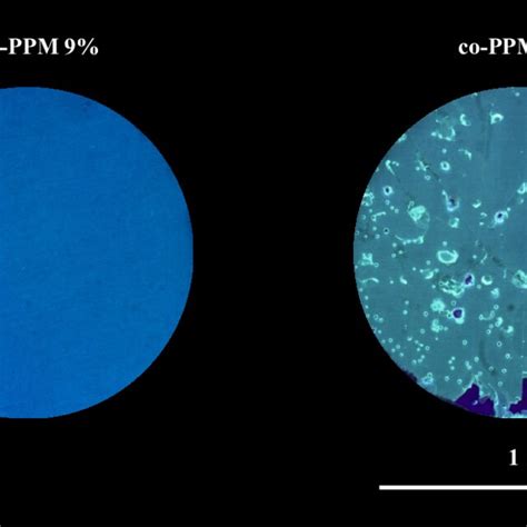 Optical Microscope Images Under 386 Nm Uv Light Of The Surface Of 30 Download Scientific