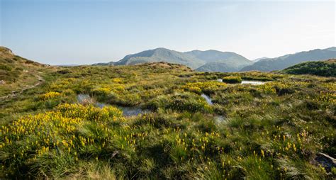 Ipbes Values Assessment Overview With Ipbes Co Chair Professor Mike