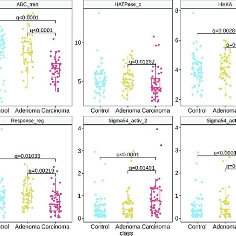 ml based classification results of spl based and sppfd based model